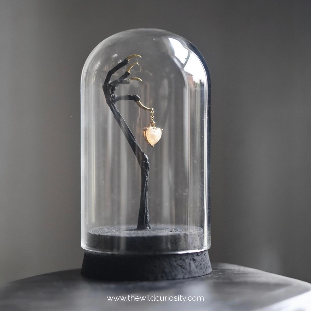 Gothic Talons With Gold Detail in Glass Dome Jar | Bird Claw | Curio ...