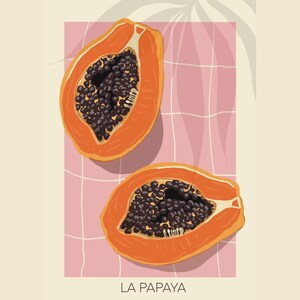 Papaya | Fruit Poster | Papaya Tropical Fruit Art | French Style Art of ...