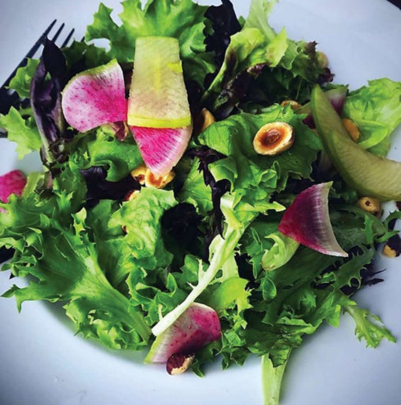 Jaclyn Creations Raw Vegan Recipe Book Etsy jaclyn-creations-raw-vegan-recipe-book-etsy