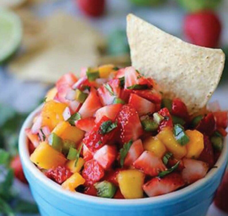 Jaclyn Creations Raw Vegan Recipe Book Etsy jaclyn-creations-raw-vegan-recipe-book-etsy