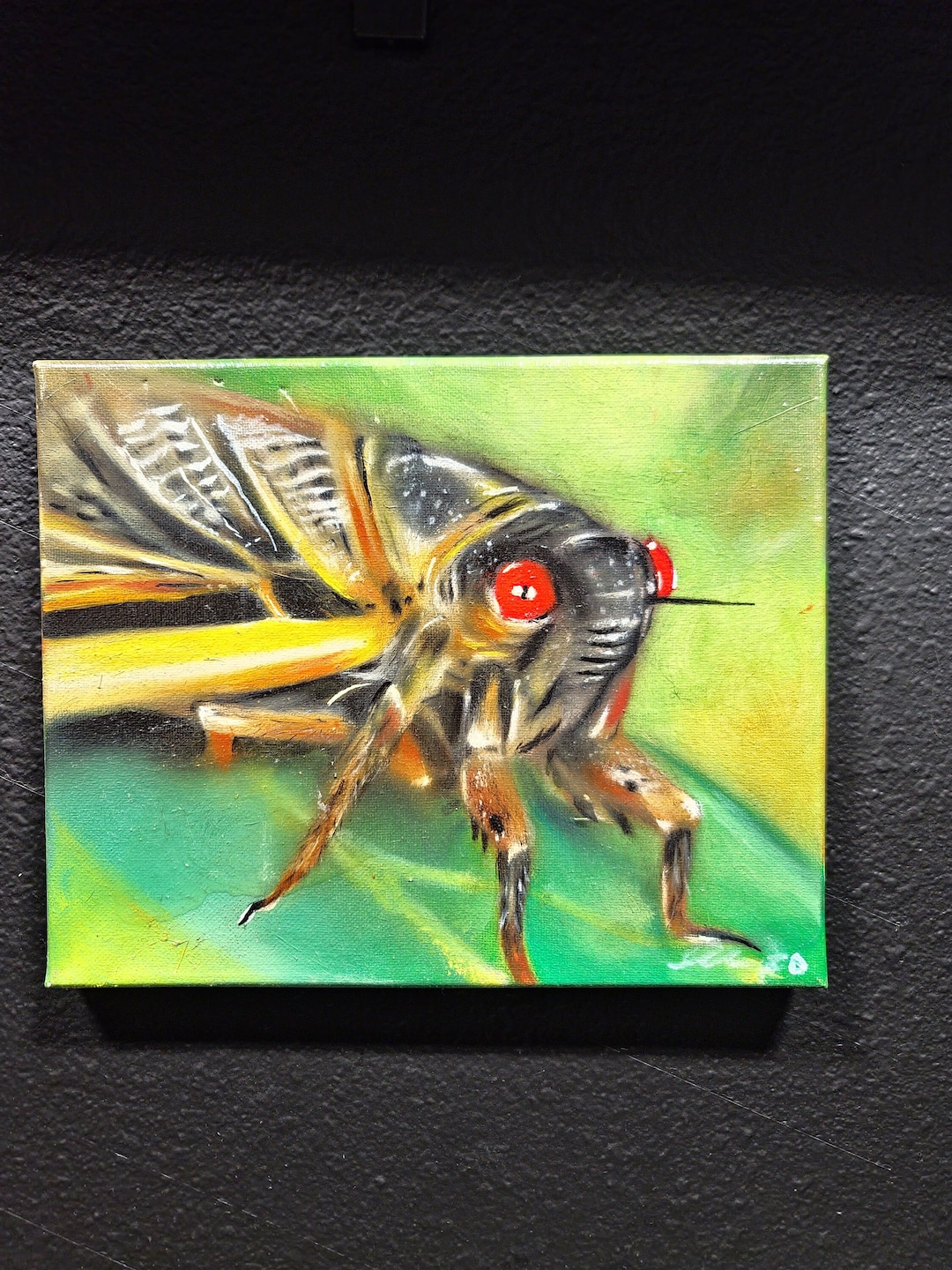 8x10 Inch Handmade Oil Painting: Cicada - Etsy