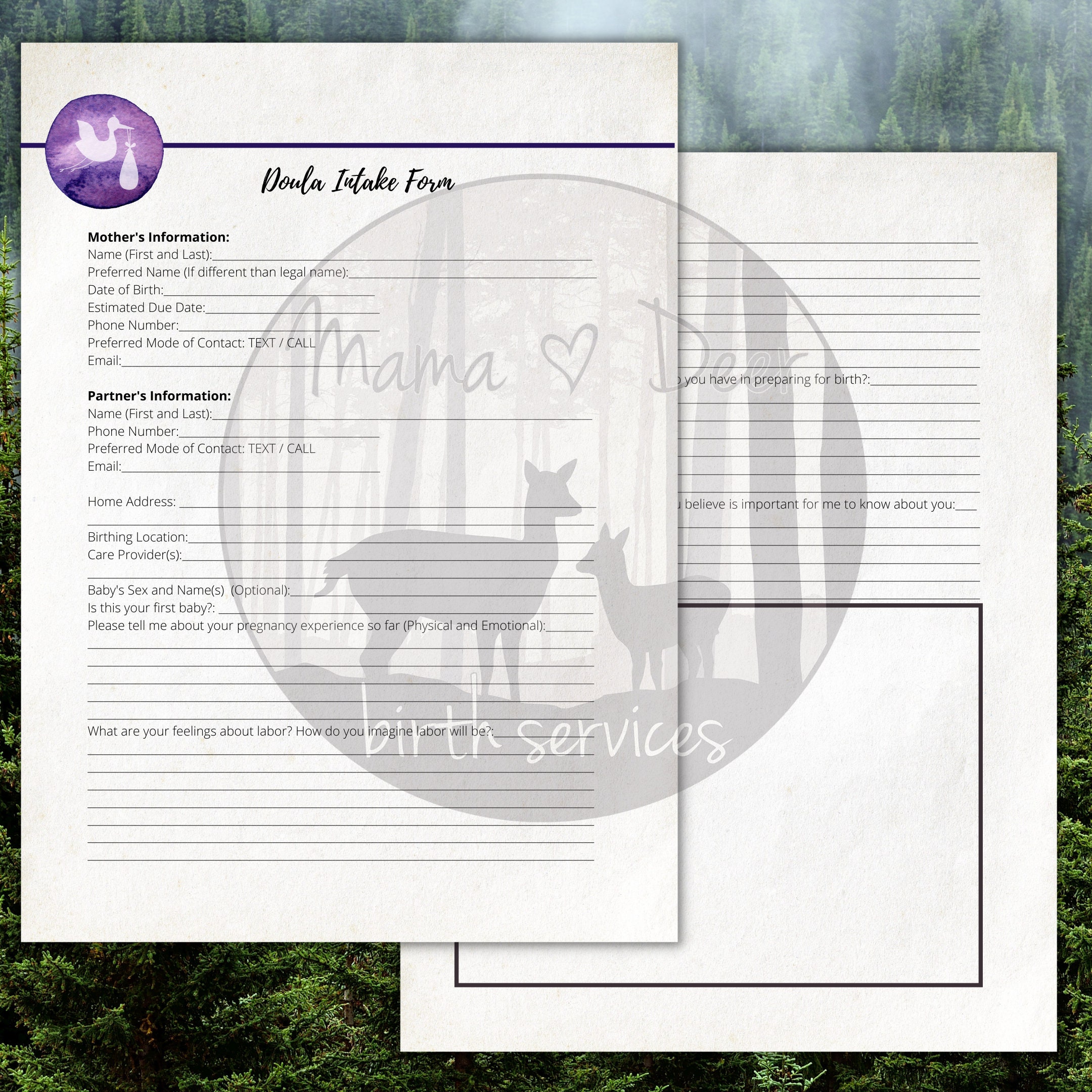 Birth Doula Intake Form - Etsy