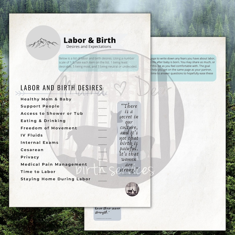 Labor and Birth Preference, and Fears Worksheet for Doulas and ...