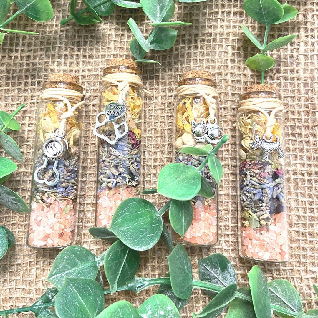 Pet Protection Blessing Intention Bottle, Dog Adoption Gift, New Pet ...