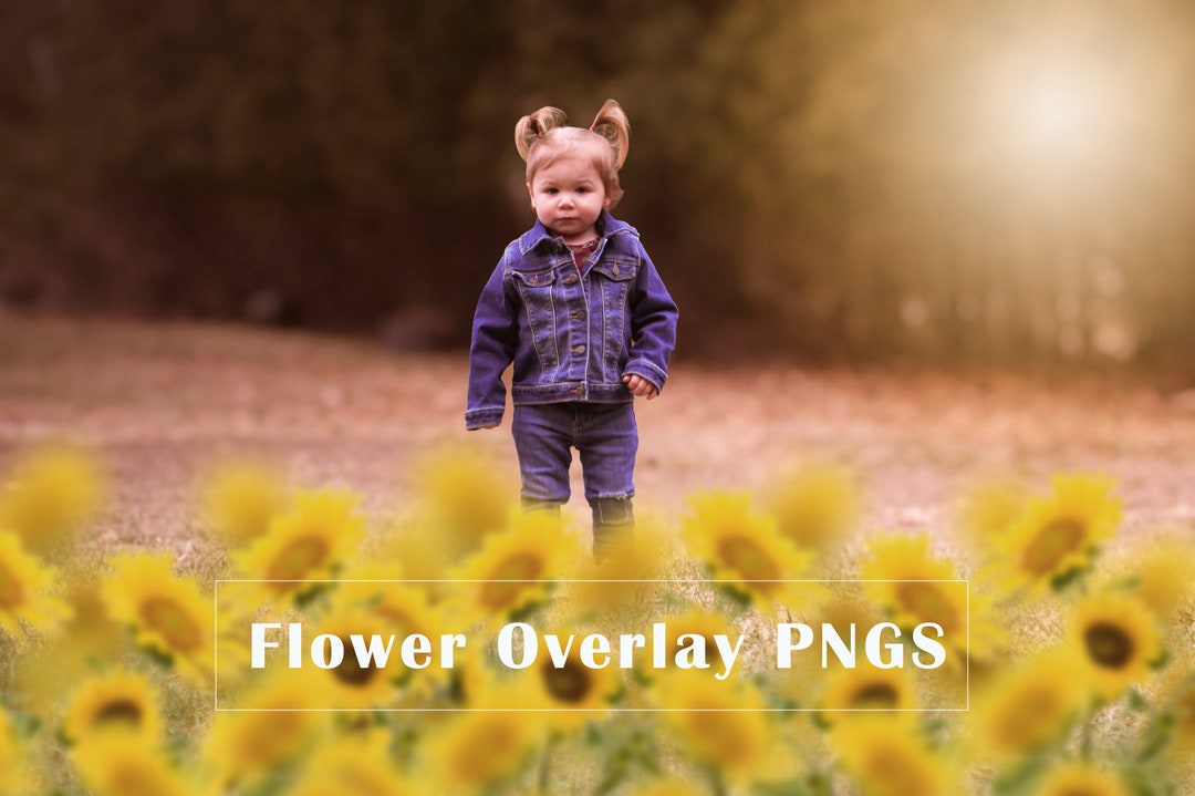 12 Flower Overlay PNGS, Flower Field Overlay, PNG, Photoshop Overlay ...