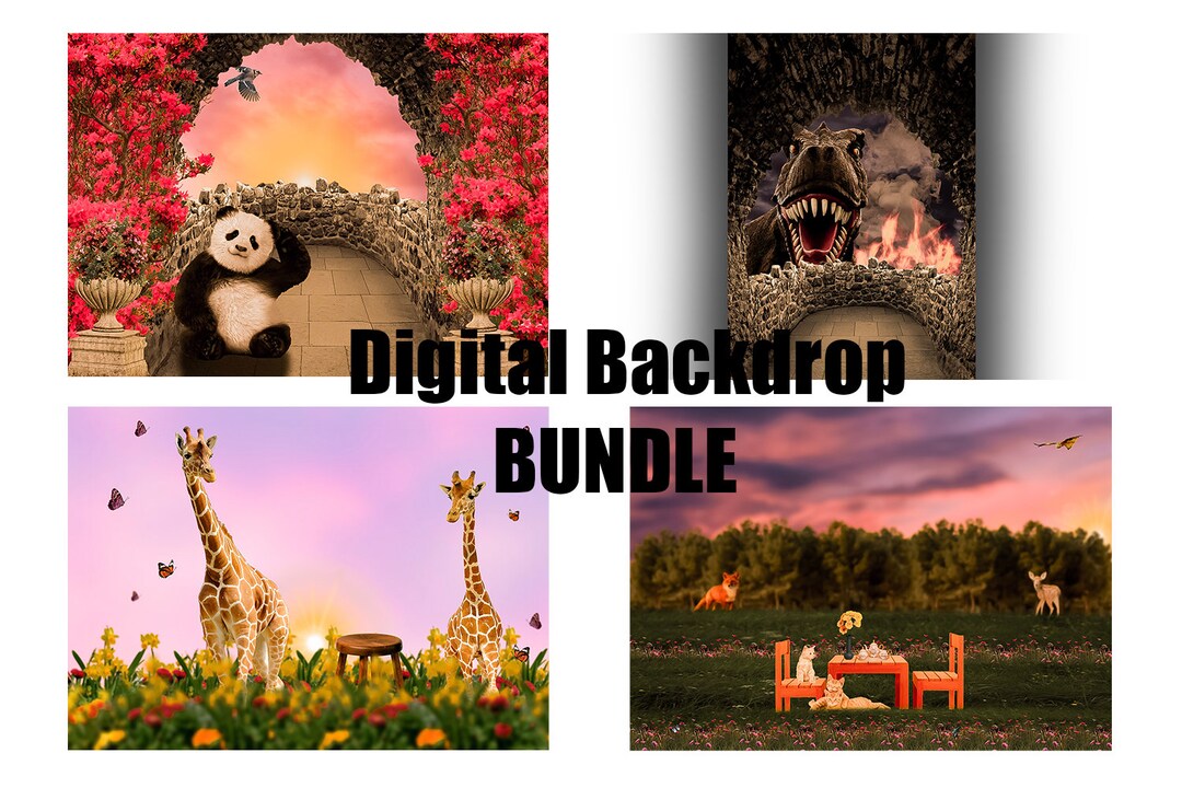Childrens Digital Backdrop Bundle 4 Pack, Fantasy Backdrops for Kids ...