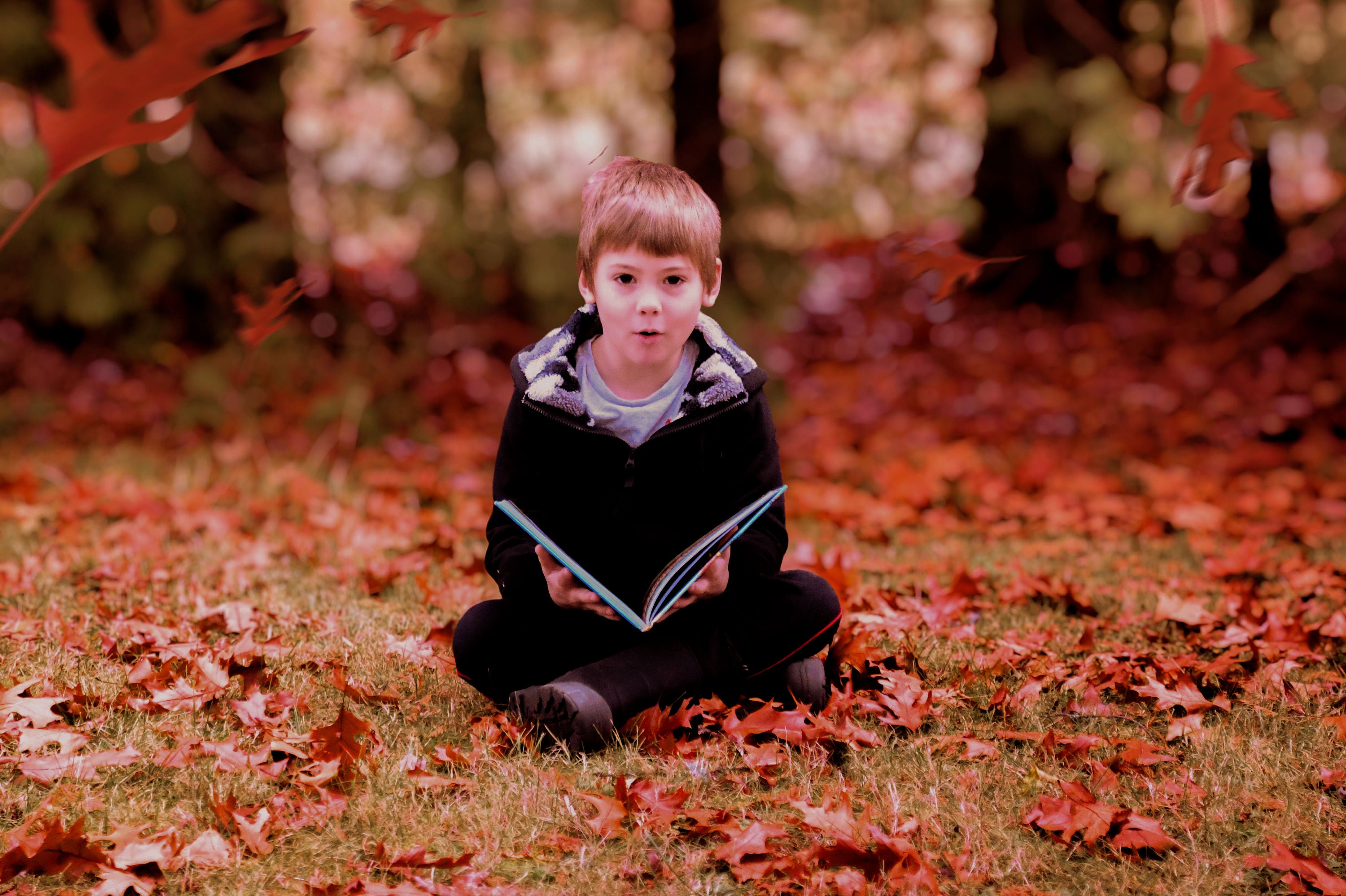 20 Book Shine Overlays Sparkle Overlays Gift Shine Overlays - Etsy