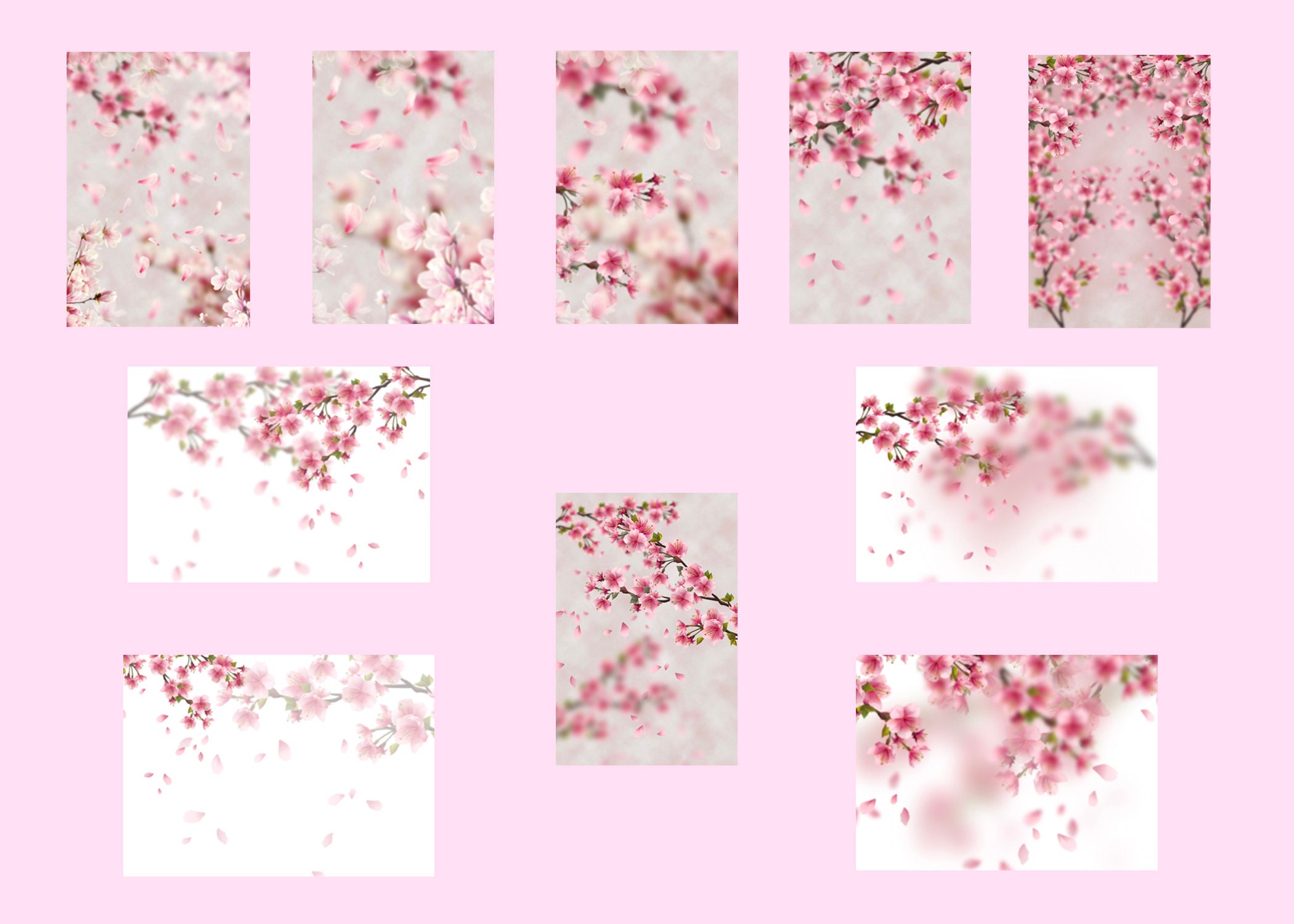 10 Cherry Blossom Digital Backdrop Bundle Pack, Spring Floral Backdrop ...