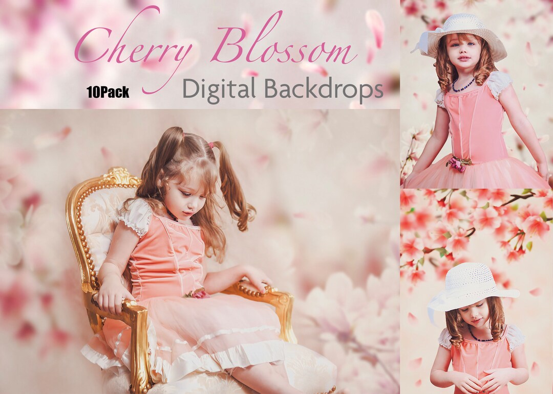 10 Cherry Blossom Digital Backdrop Bundle Pack, Spring Floral Backdrop ...
