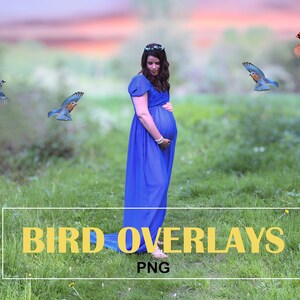 50 Bird Overlays for Photoshop, Bird Clip Art, PNG, Snow Owl, Cardinal ...