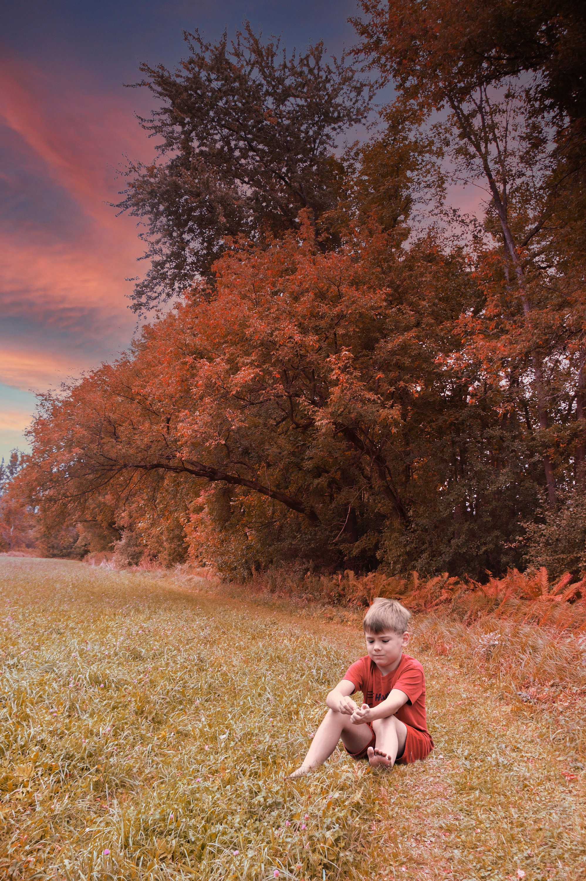 15 Digital Autumn Background, Fall Digital Backdrops, Jpeg, Fall ...