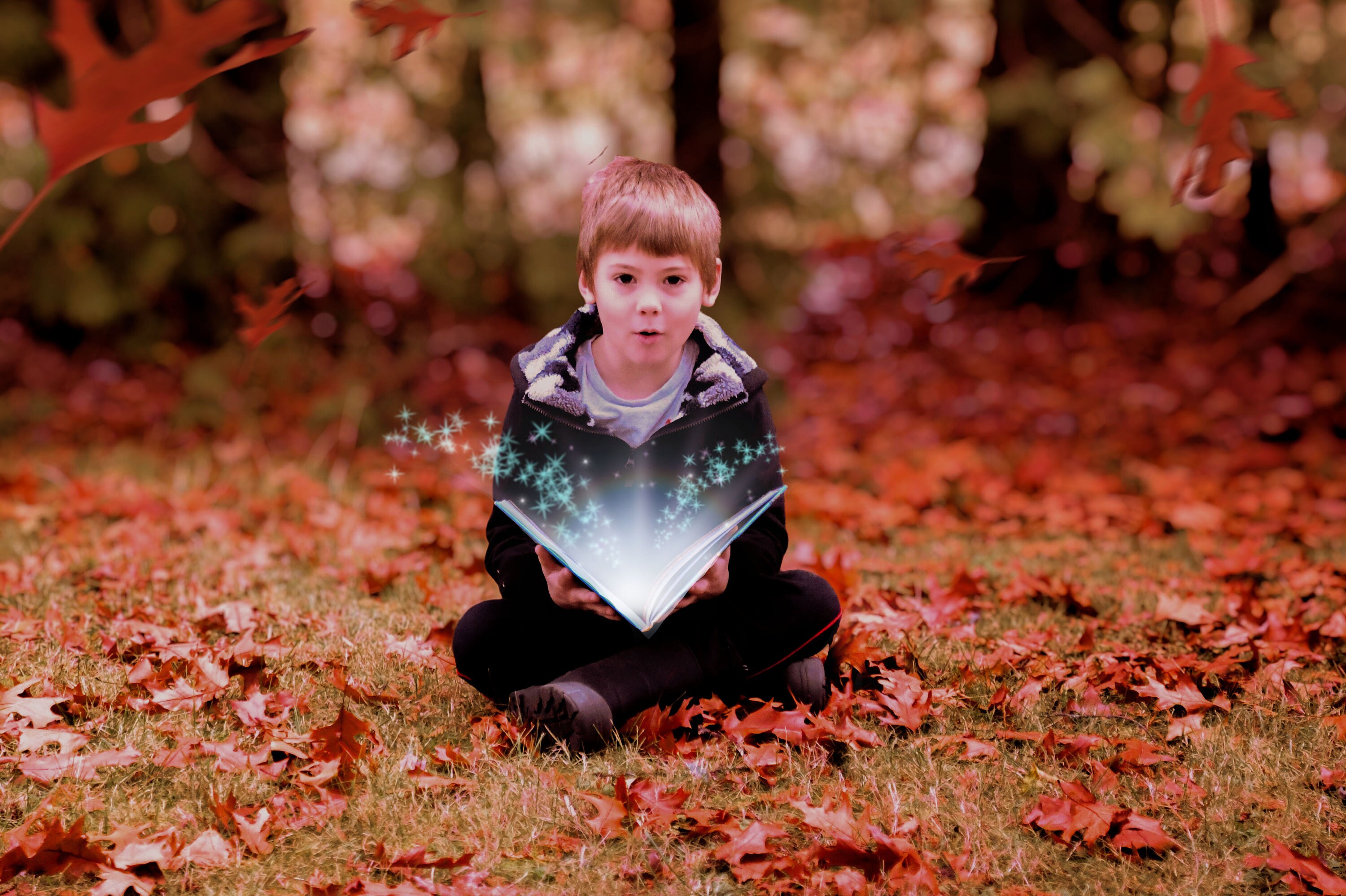 20 Book Shine Overlays Sparkle Overlays Gift Shine Overlays - Etsy