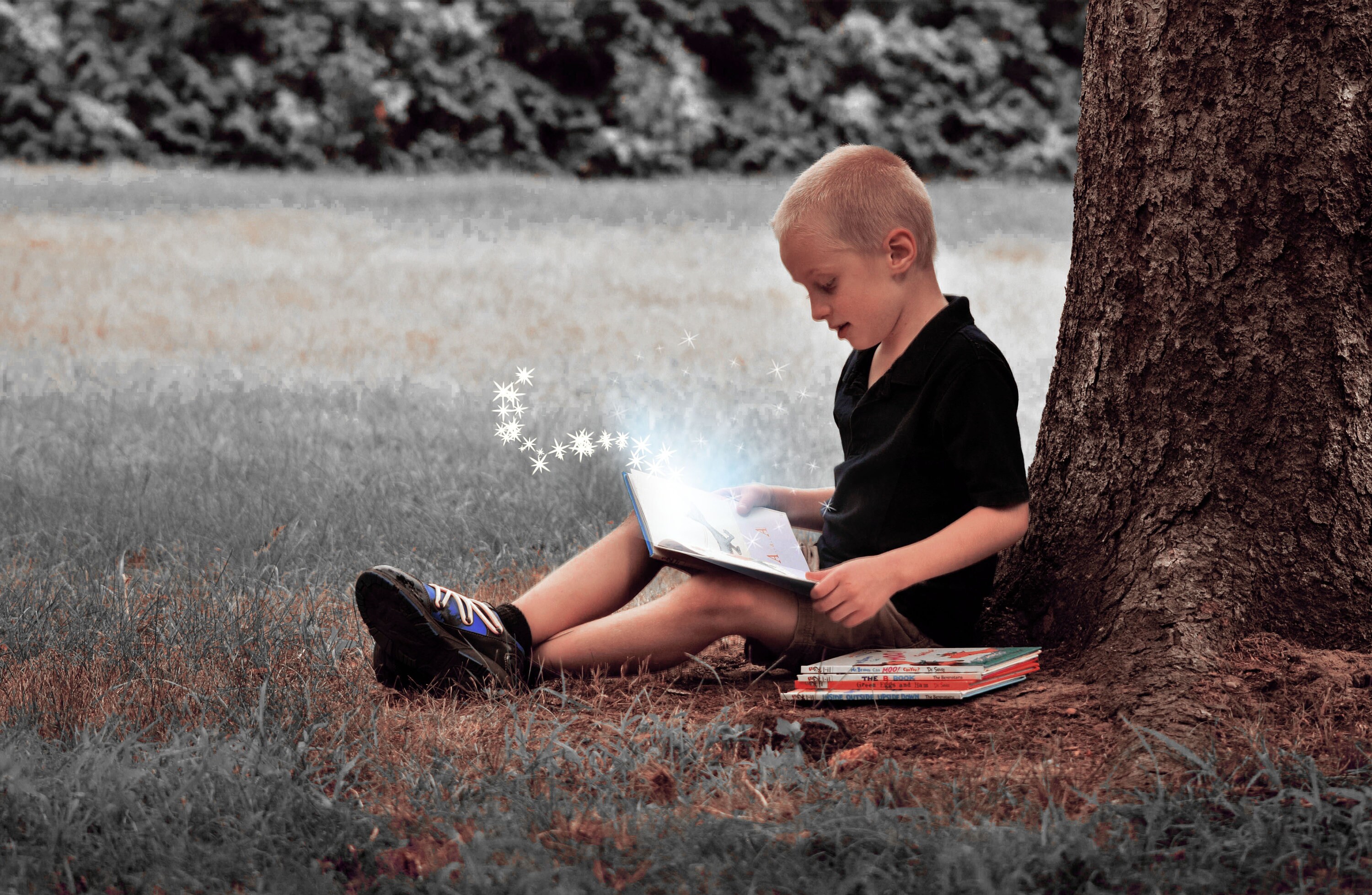 20 Book Shine Overlays Sparkle Overlays Gift Shine Overlays - Etsy