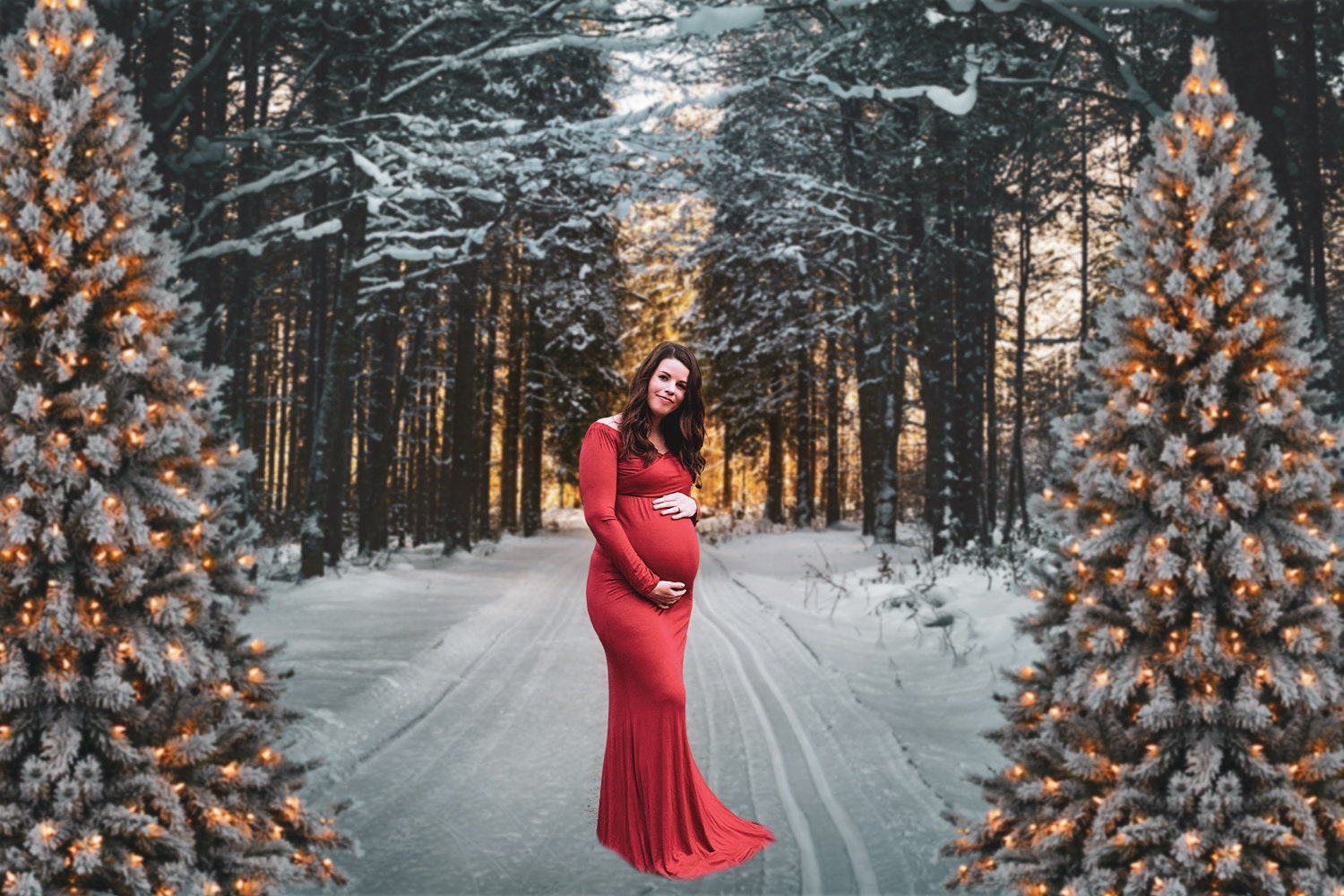 Winter Wonderland Digital Backdrop, Winter Background. - Etsy