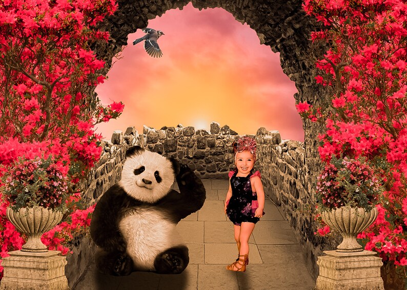 Childrens Digital Backdrop Bundle 4 Pack, Fantasy Backdrops for Kids ...