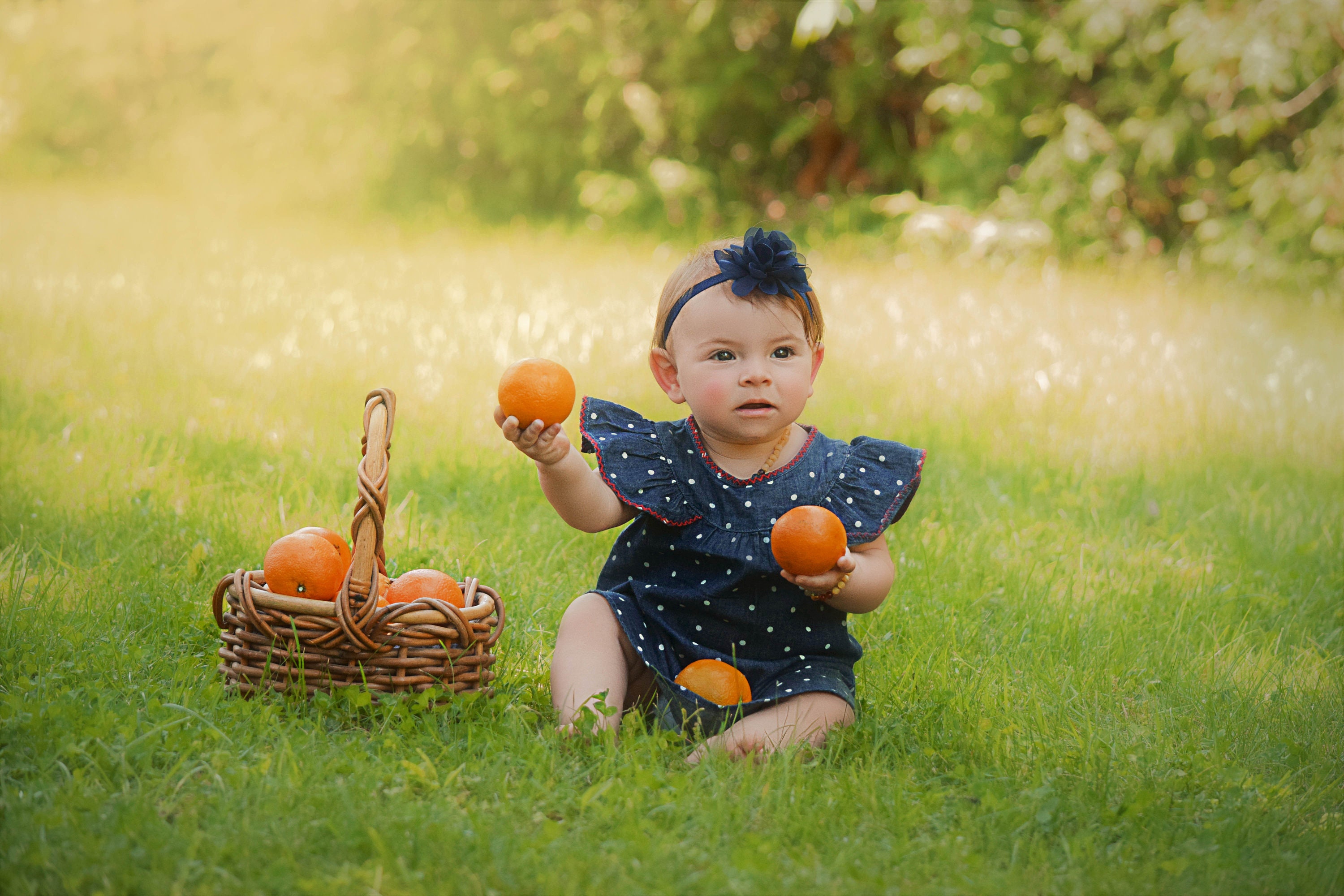 40 Food Overlays Pngs Instant Download Lemon PNG Fruit PNG - Etsy