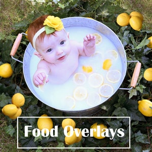 40 Food Overlays Pngs Instant Download Lemon PNG Fruit PNG - Etsy