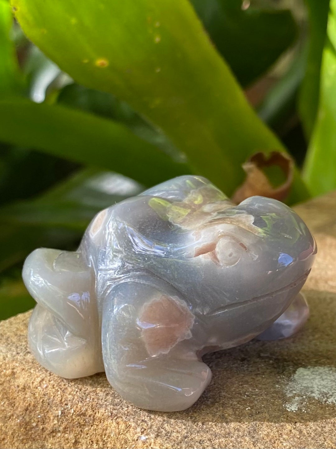 Flower Agate Frog, Flower Agate, Rare Crystal Frog , Manifest Your ...