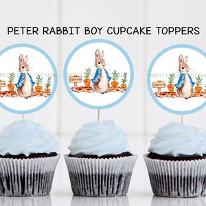 Peter Rabbit Cupcake Toppers, Boy Baby Shower, Birthday Party, Blue ...