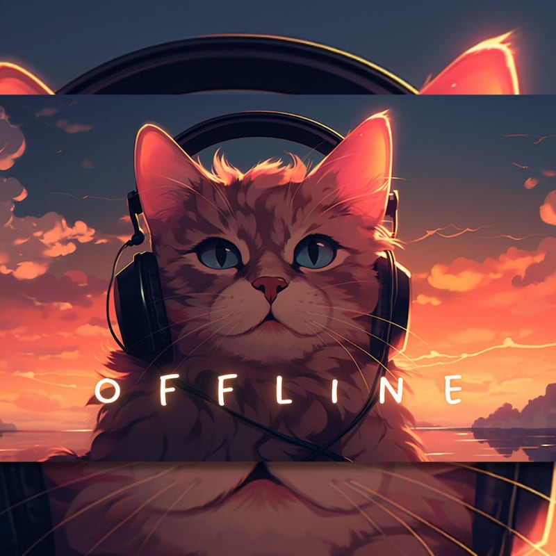 Cat Banner - Etsy