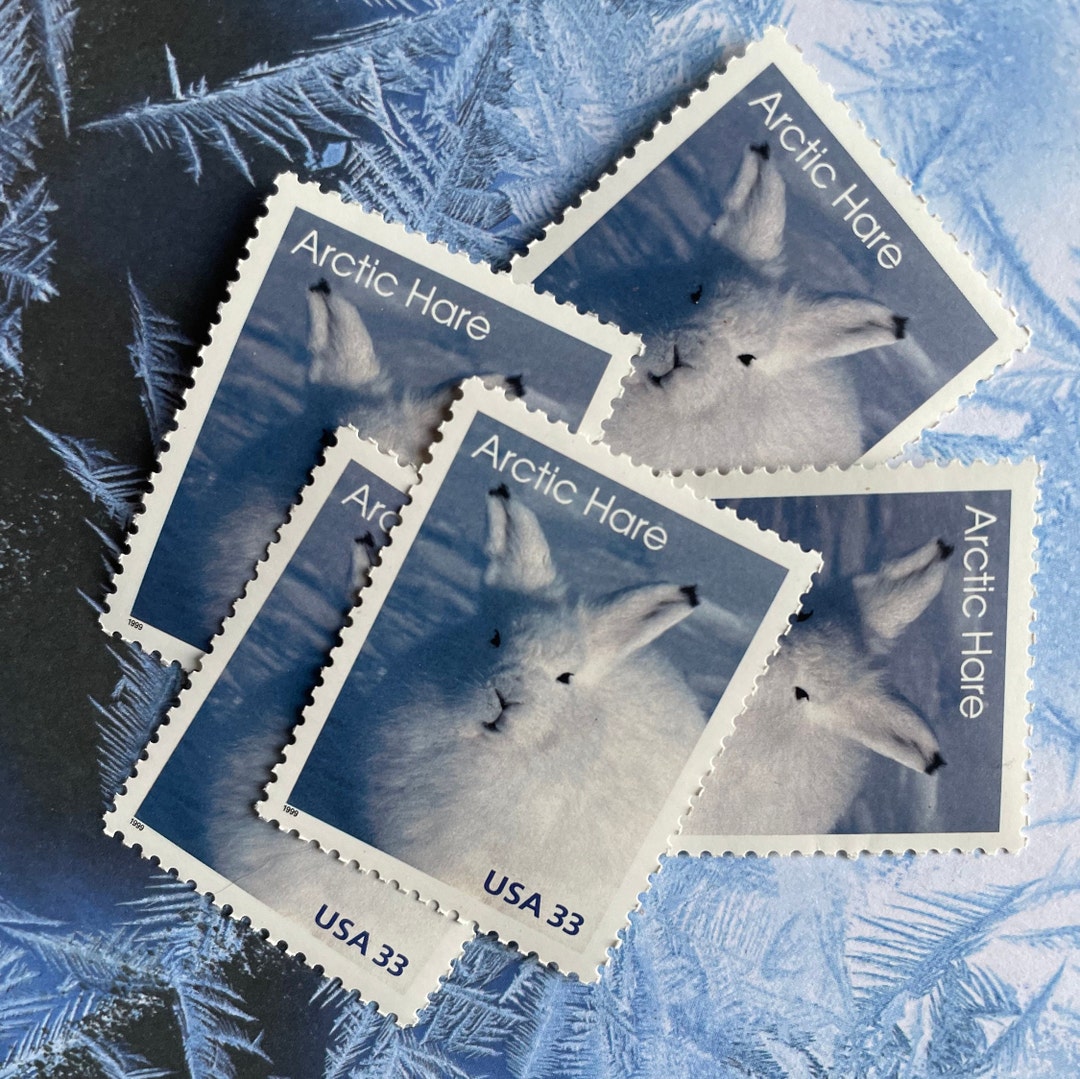 5 Arctic Hare 33 Cent Postage Stamps. Arctic Animals. Postcrossing ...