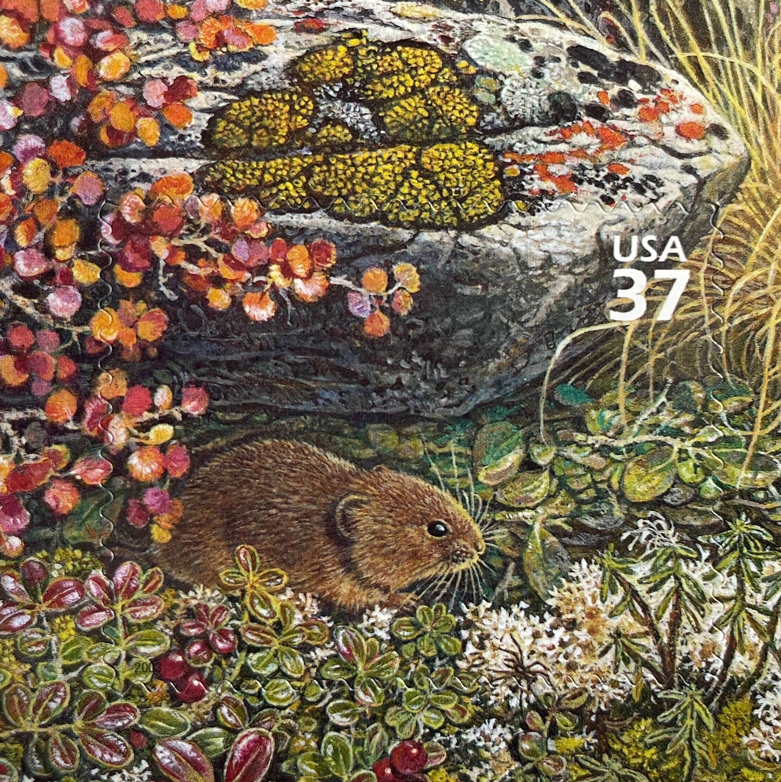 5 Singing Vole 37 Cent Vintage Stamps. Nature of America: - Etsy