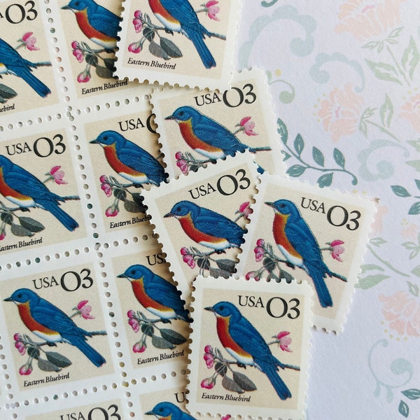 Vintage Bluebird - Etsy