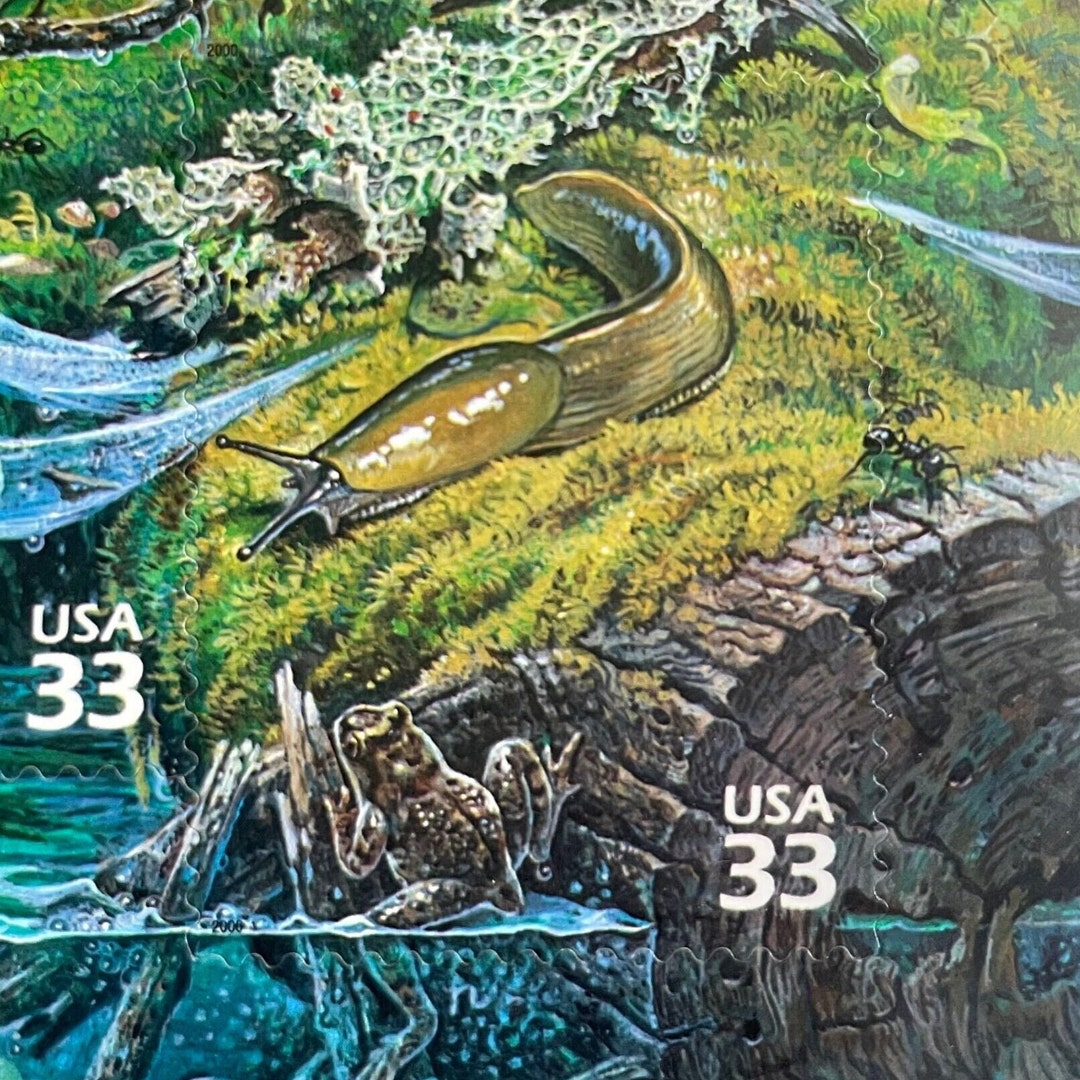 5 Banana Slug 33 Cent Vintage Postage Stamps. Nature of America ...