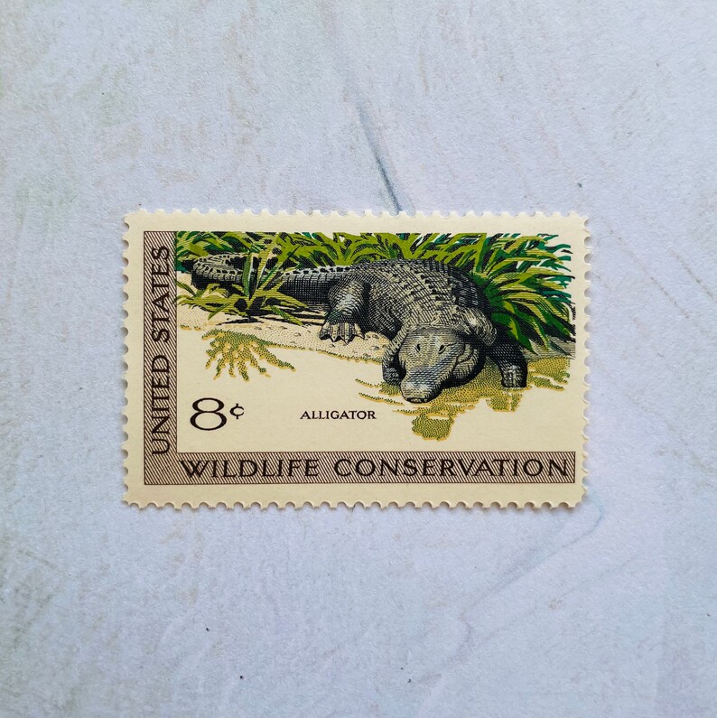 10 Alligator 8 Cent Vintage Postage Stamps. Wildlife | Etsy