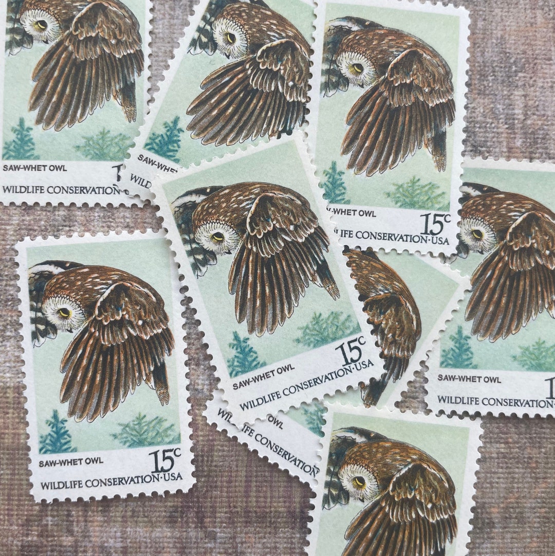 10 Saw-whet Owl 15 Cent Vintage Postage Stamps. Wildlife Conservation ...