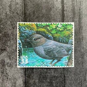5 American Dipper 33 Cent Vintage Postage Stamps. Nature of America ...
