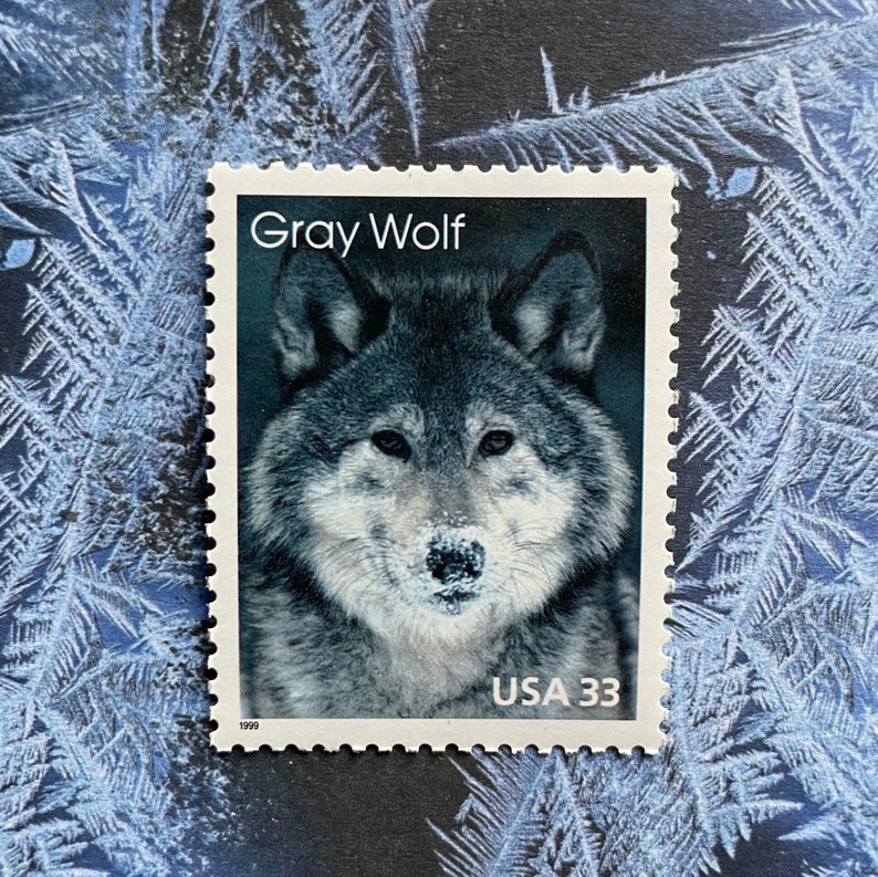 5 Gray Wolf 33 Cent Postage Stamps. Arctic Animals. - Etsy