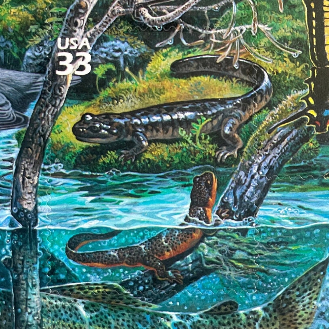 10 X 33 Rainforest Stamp 3378f - 2000 33c Pacific Coast Rain Forest ...