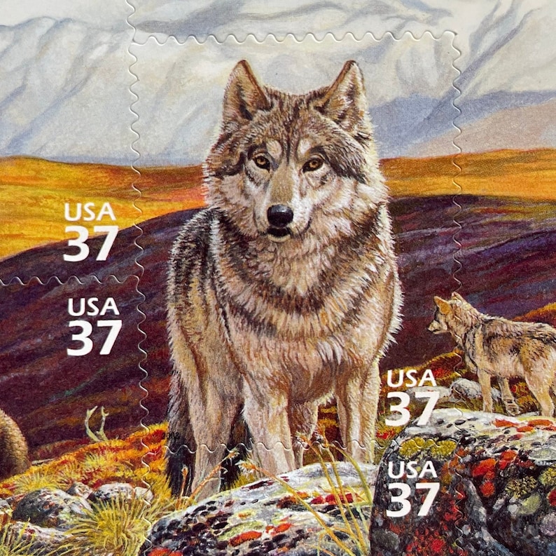 5 Gray Wolf 37 Cent Vintage Postage Stamps. Nature of America: Arctic ...