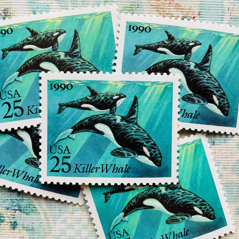 Whale Rubber Stamp - Etsy