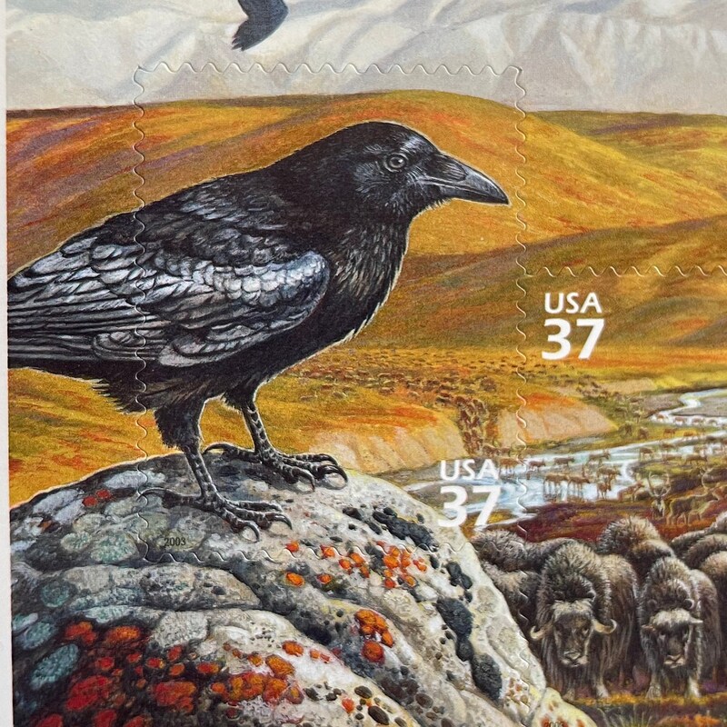 Crow Rubber Stamp - Etsy