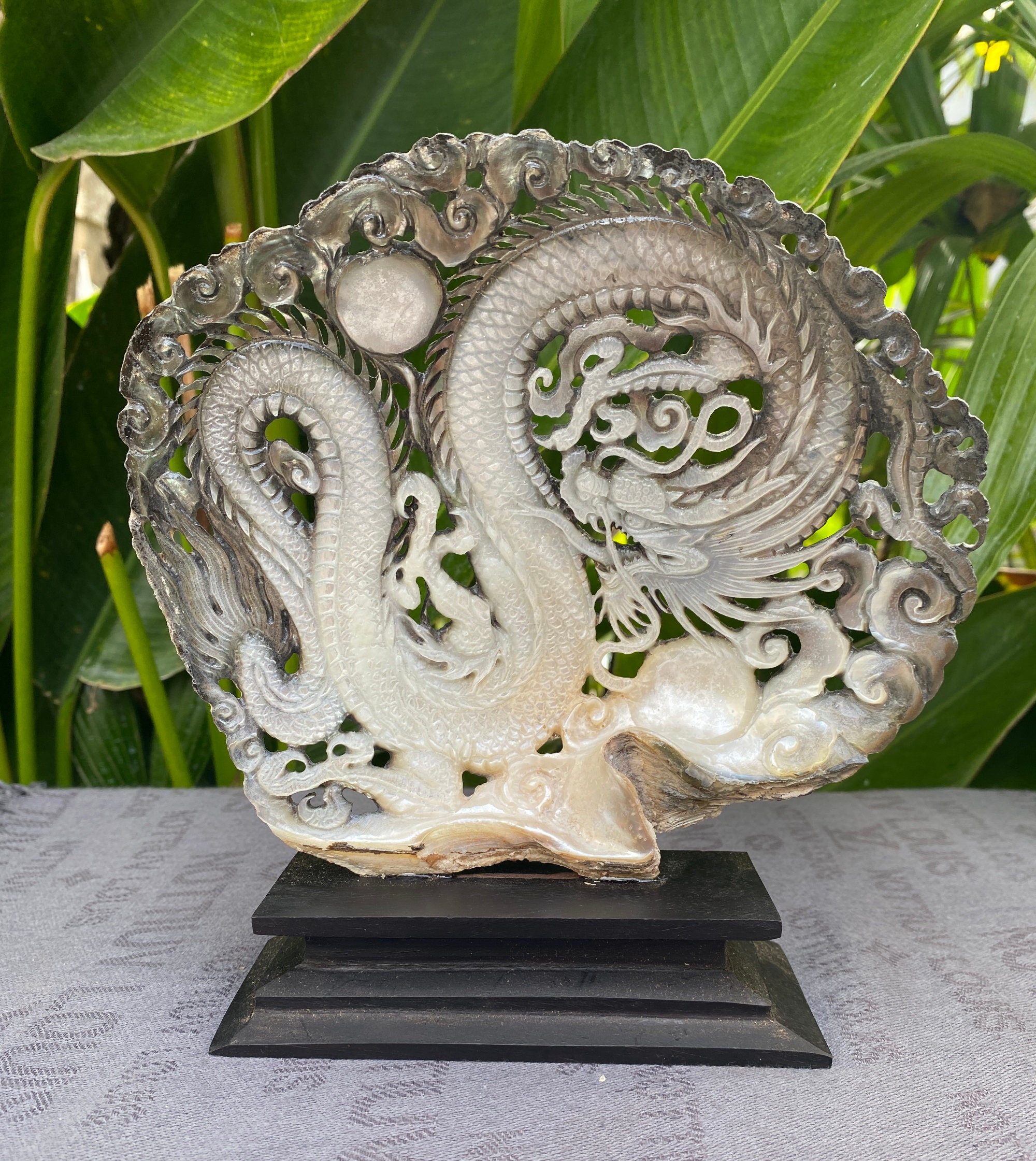 Dragon Carved Shell, Carved Mother of Pearls, Large Shell, Genuine ...