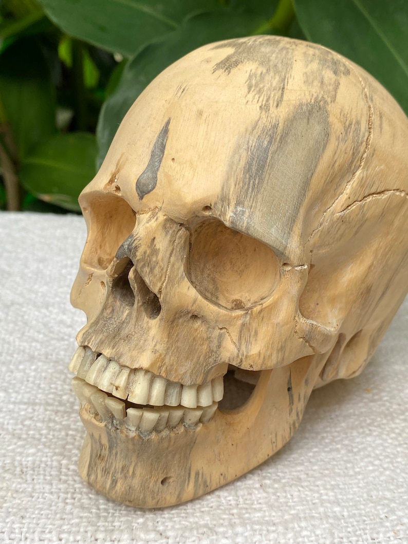 Human Skull Carved Replica Carved Skull Skull Decor - Etsy