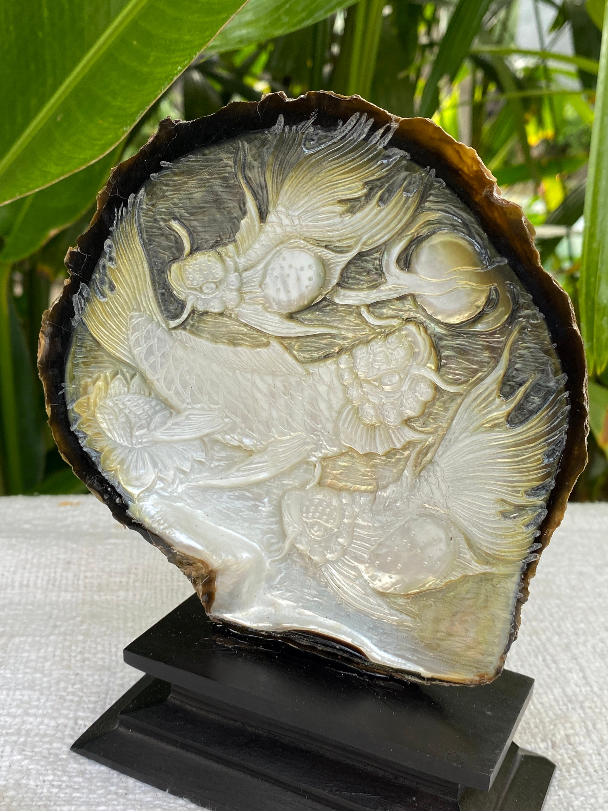Koi Fish Carving Carved Shell Sea Carved Shell Sea Pearl - Etsy