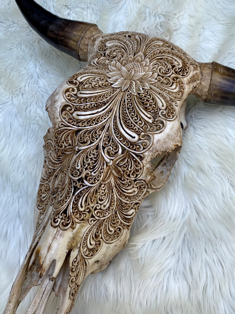Cow Skull, Cattle Skull, Carved Cow Skull, Horns Filigree Decor Bali ...