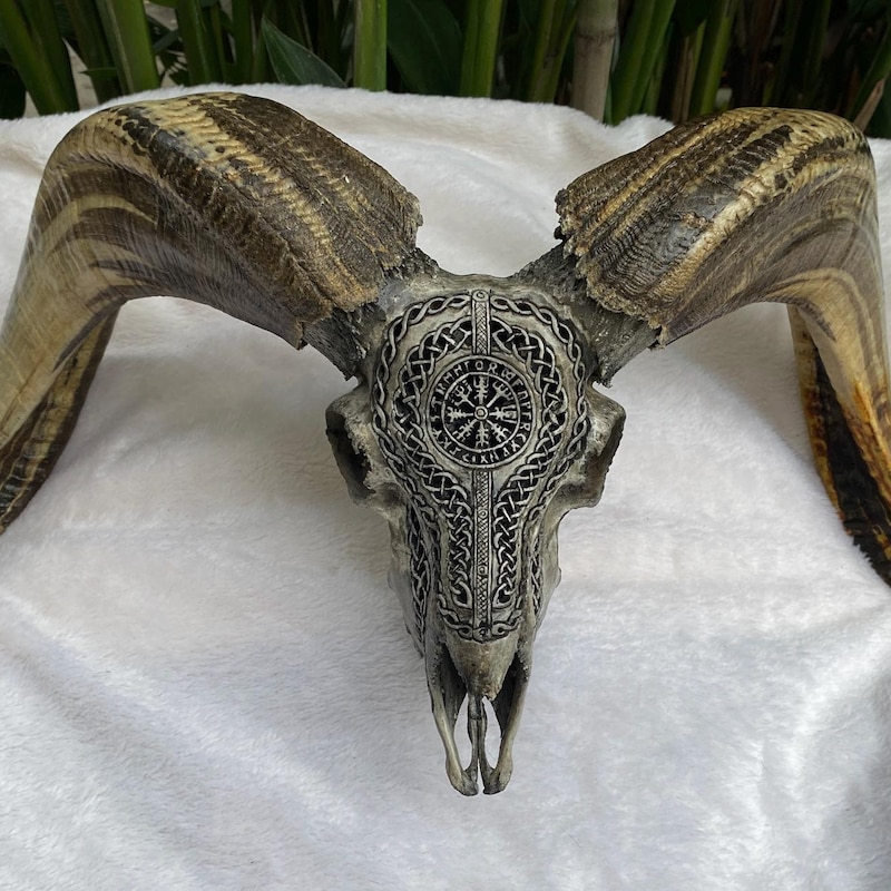 Carved Skulls Ram - Etsy