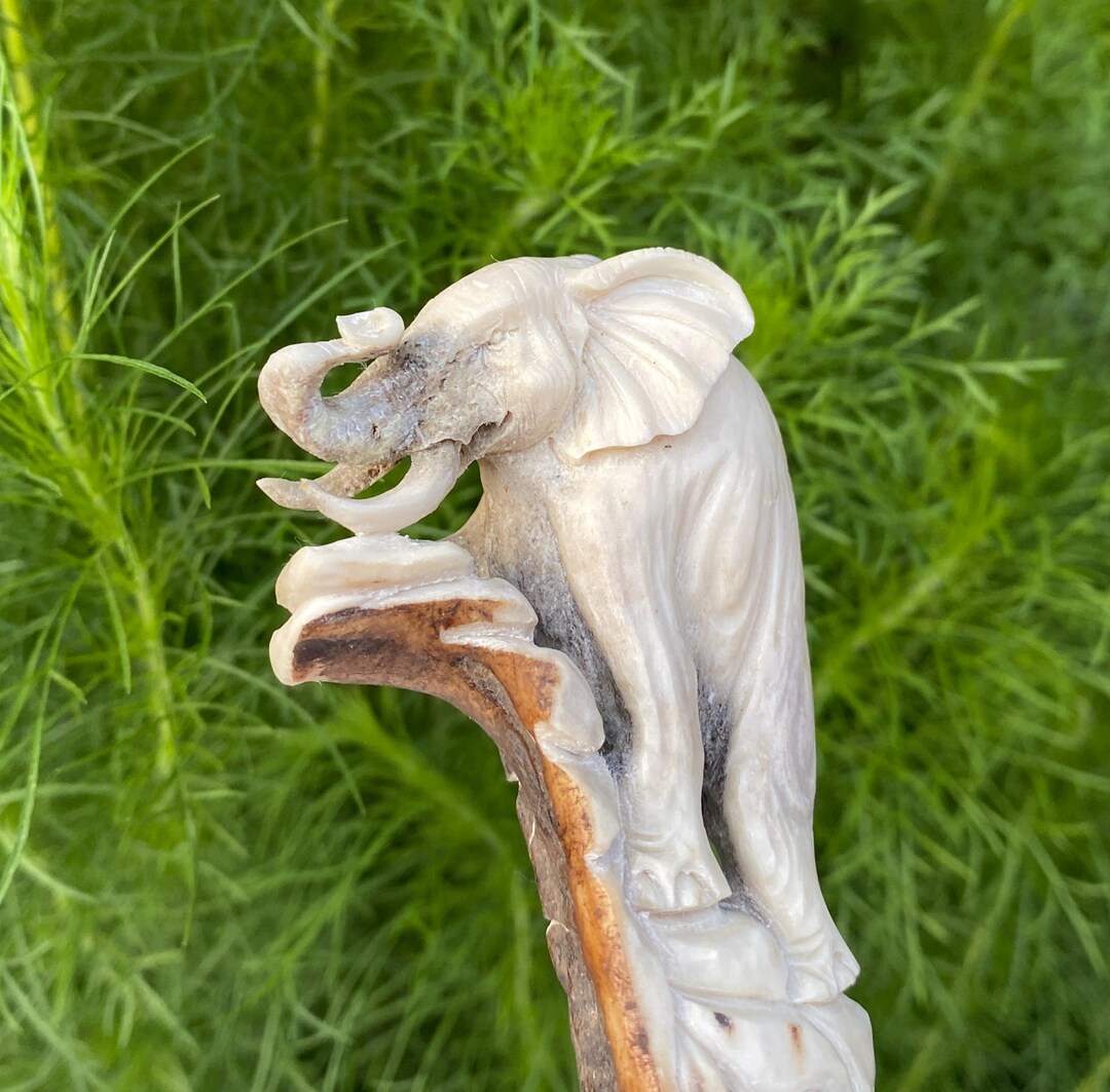 Elephant Knife Handle African Elephant Carved Knife Handle Deer Antler ...