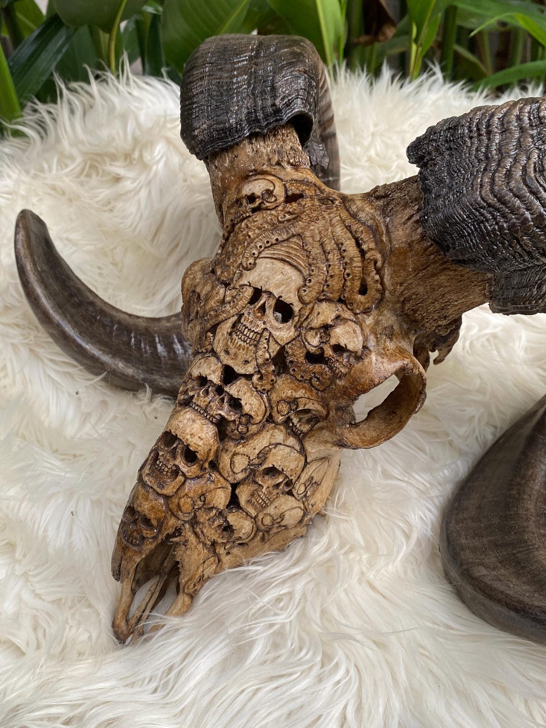 Big Goat Skull Octopus Skull Bali Art Carved Animal Skull - Etsy