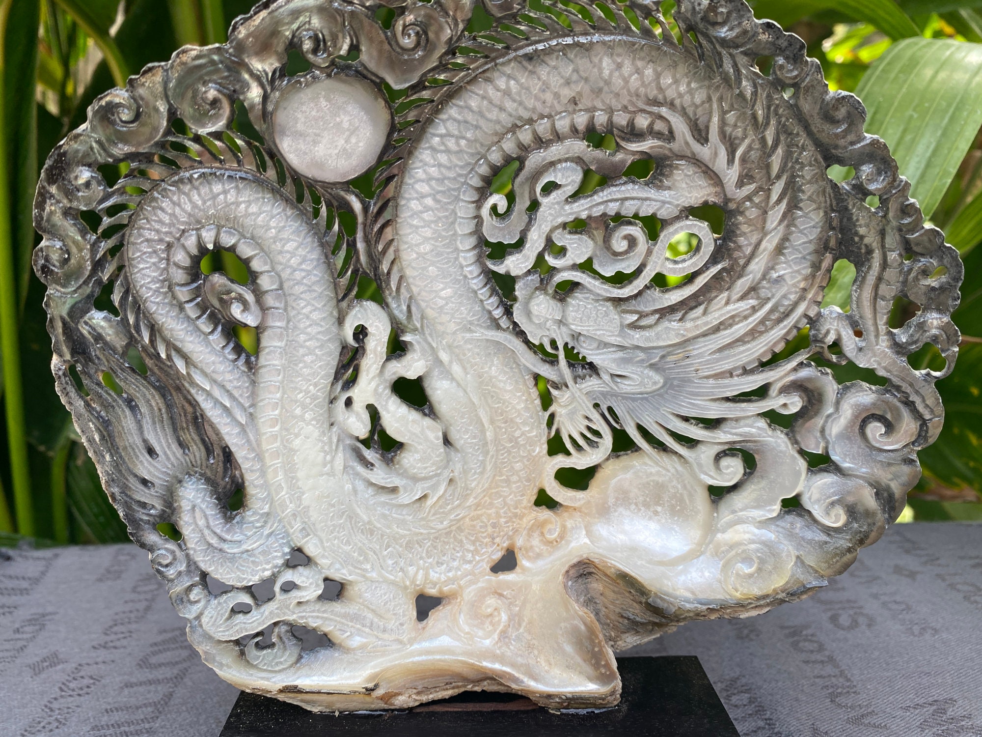 Dragon Carved Shell, Carved Mother of Pearls, Large Shell, Genuine ...
