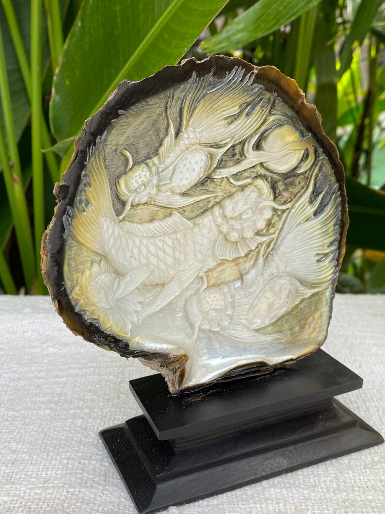 Koi Fish Carving Carved Shell Sea Carved Shell Sea Pearl - Etsy