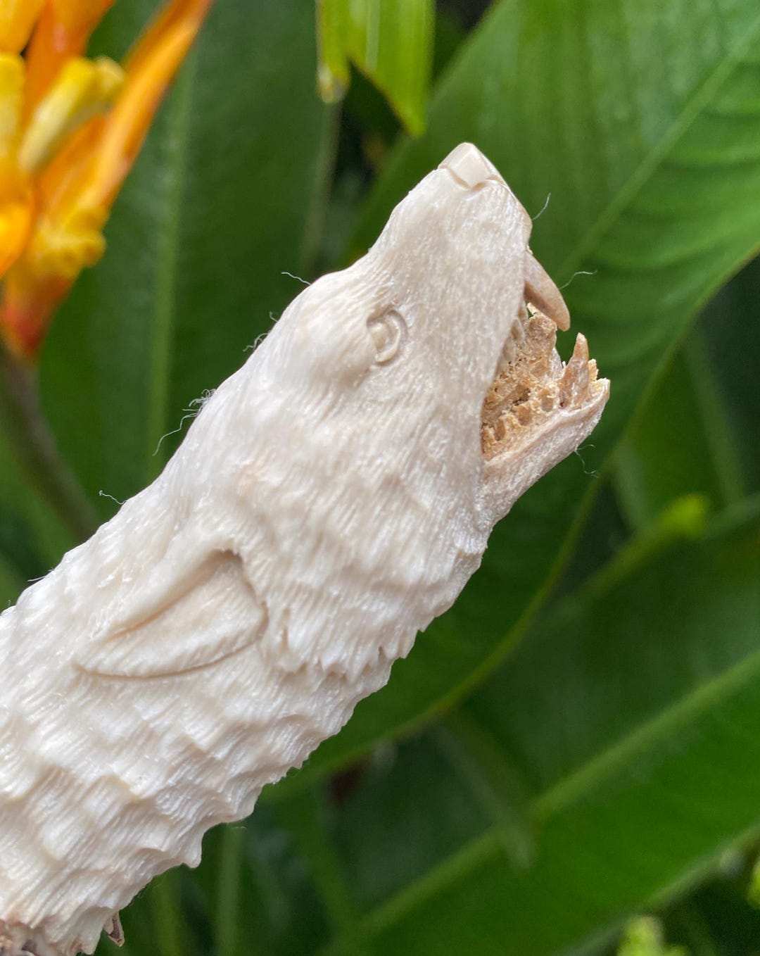 Wolf Carved Knife Handle Made From Indonesian Antler - Etsy