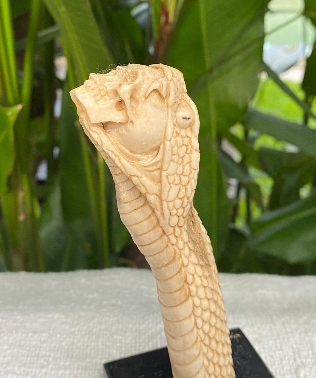 Cobra With Skull in Mouth, Antler Carving, Snake Carving, Antler Moose ...