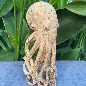 Unique Octopus Carved Wooden Statue, Carved Octopus Skull - Etsy