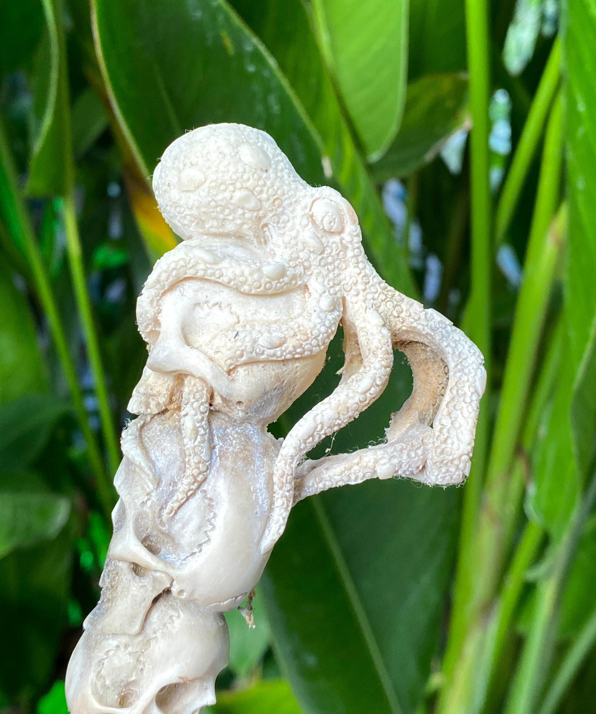 Octopus Skull, Knife Handle, Carved Knife Handle, Moose Handle, Moose ...