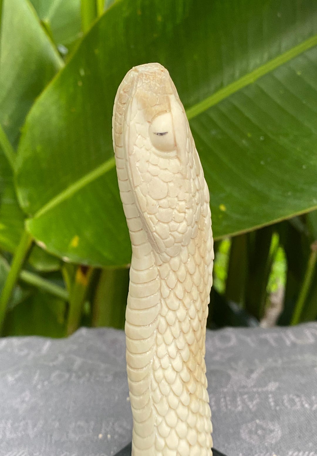 Indian King Cobra Snake Carving, Antler Carving, Snake Carving, Antler ...
